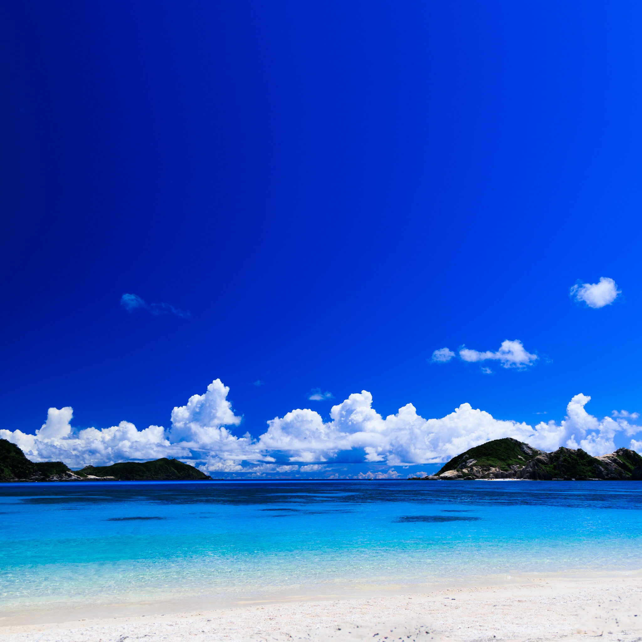 LANDISK - Urban Cafeteria Blog